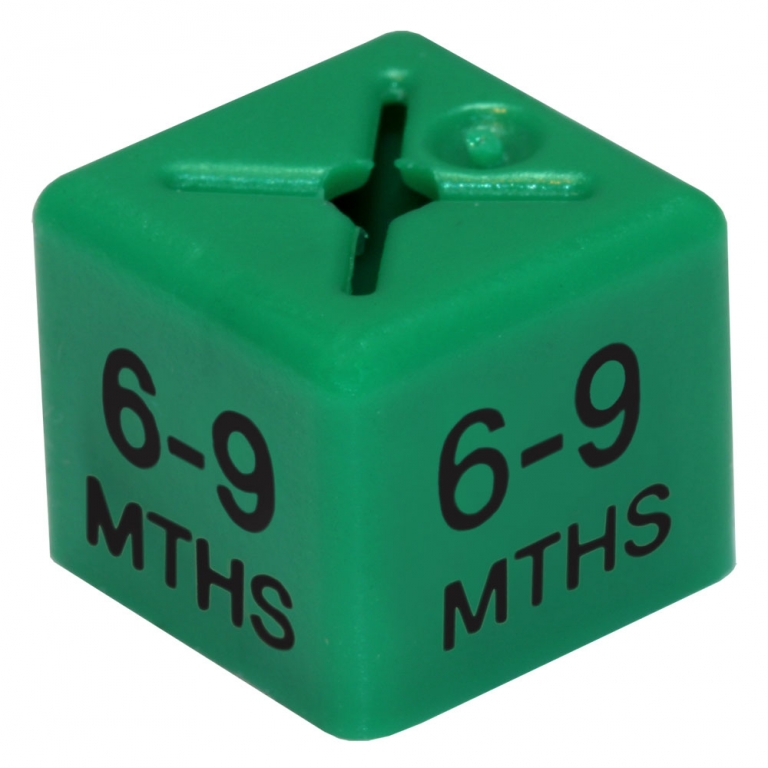 Coat Hanger Size Cubes Babieswear AGE 6 9 Months GREEN Pack 50 coat-hanger-size-cubes-babieswear-age-6-9-months-green-pack-50